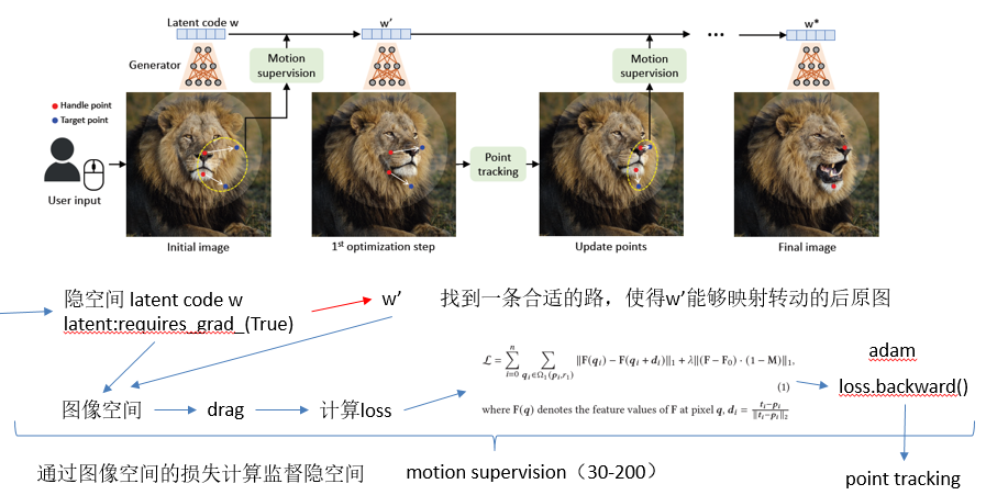 DragGAN:interactive point-based manipulation on the generative image manifold-CSDN博客