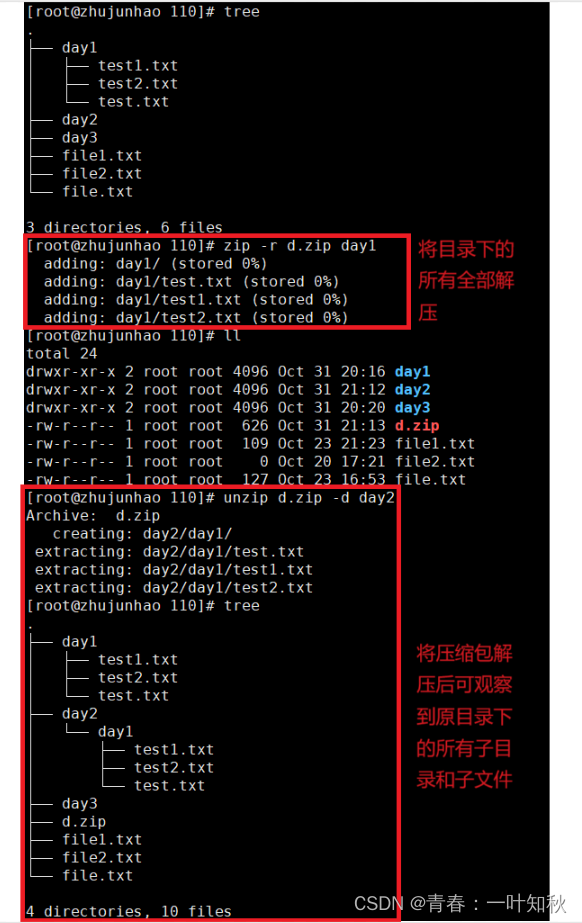 【Liunx系统编程】命令模式3-CSDN博客