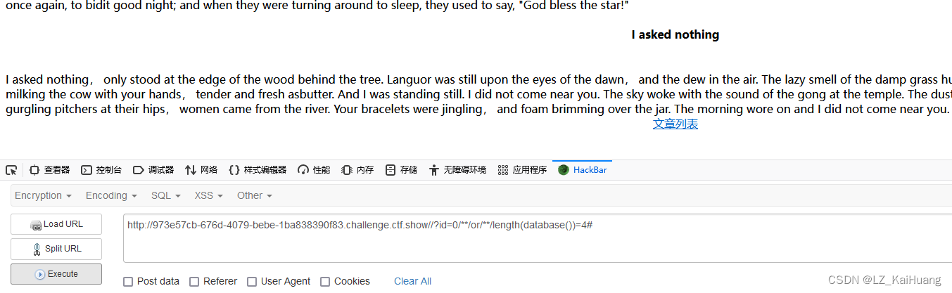 CTF show----web 解题笔记（web7~web10）_ctfshow web7-CSDN博客