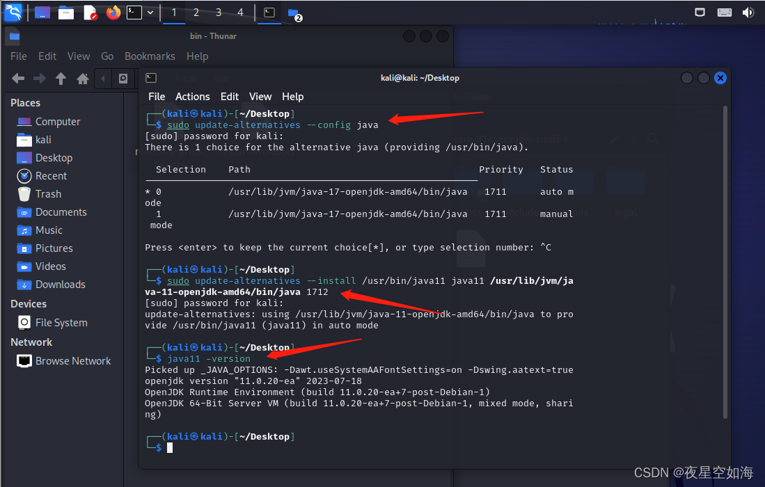 kali linux多版本java共存并自由切换 update-alternatives_update-alternatives java-CSDN博客