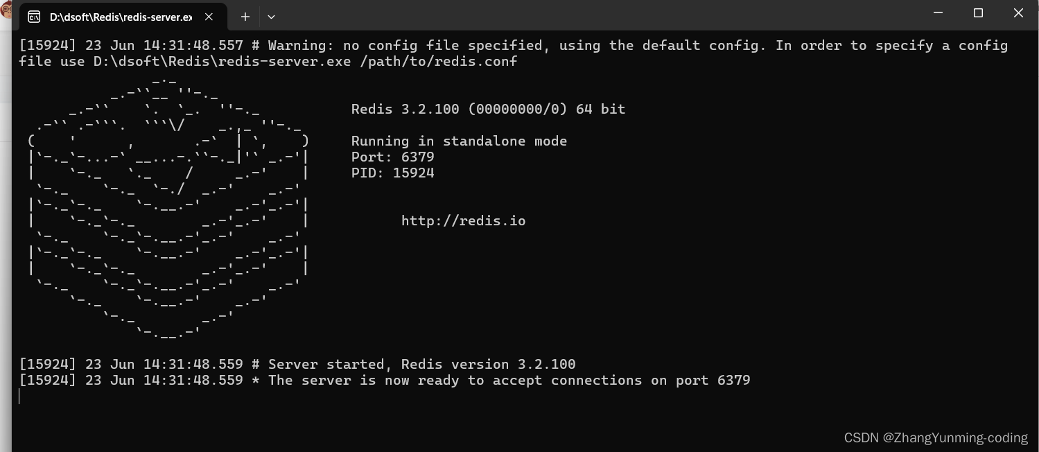 环境安装-Redis_redis-server install-CSDN博客