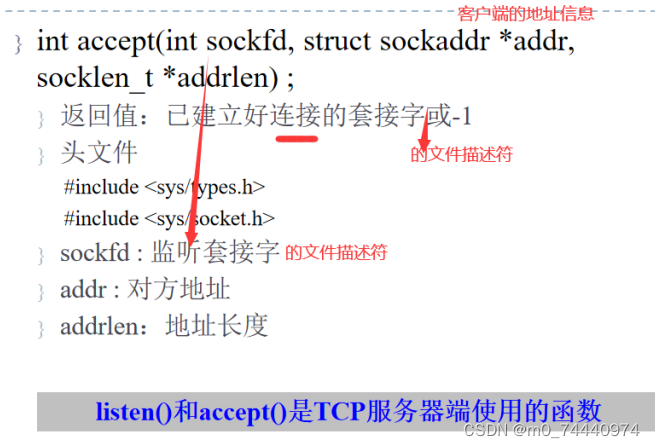 网络编程基础-CSDN博客