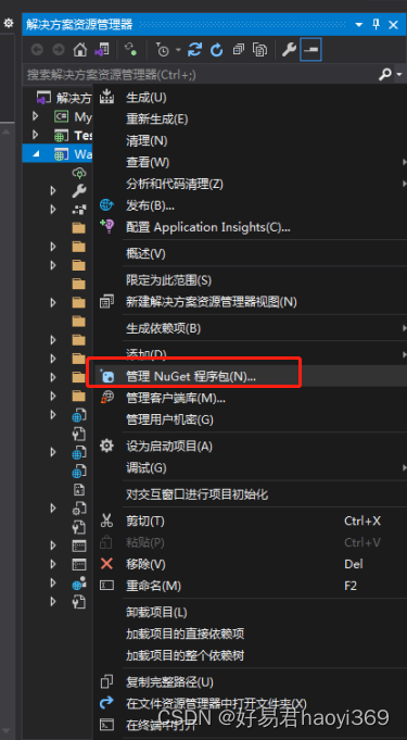 Net搭建nuget服务器，上传自定义nuget包及如何使用？自己搭建的nuget服务器 上传之后不显示清单 Csdn博客