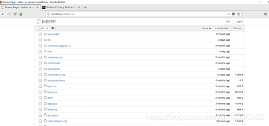 启动jupyter notebook时，报错Error: cannot open display: localhost:10.0_failed to open connection to ...