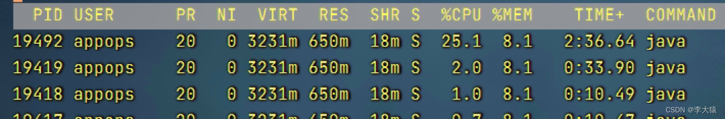 nacos1.2.1配置索引出错导致CPU占用过高_nacos cpu占用高-CSDN博客