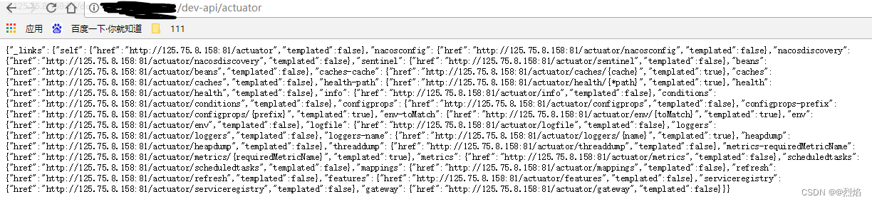 关于Spring Boot Actuator漏洞补救方案_springboot actuator 漏洞修复-CSDN博客