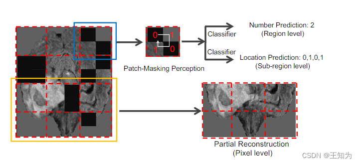 Hybrid Masked Image Modeling for 3D Medical Image Segmentation_hybridmim: a hybrid masked image ...