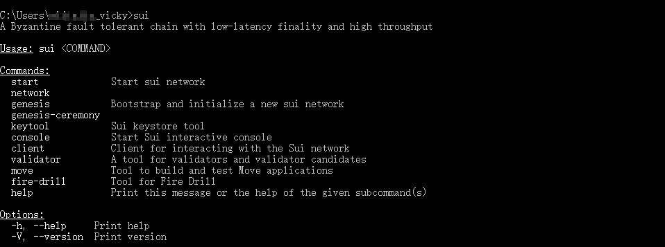 2.轻松入门Sui Move: 搭建开发环境_sui move 环境配置-CSDN博客