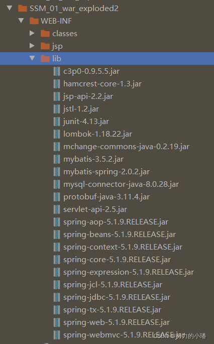 javaweb报错Connections could not be acquired from the underlying database，测试类可以通过，但是网站显示无法连接数据库 ...