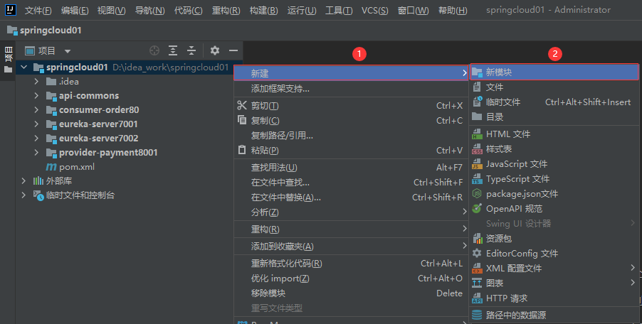 SpringCloud系列（12）--服务提供者（Service Provider）集群搭建_springcloud 服务提供者-CSDN博客