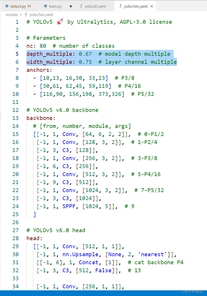 在训练中使用预训练权重，与模型大小的讲解，yolov5为例yolov5预训练权重 Csdn博客