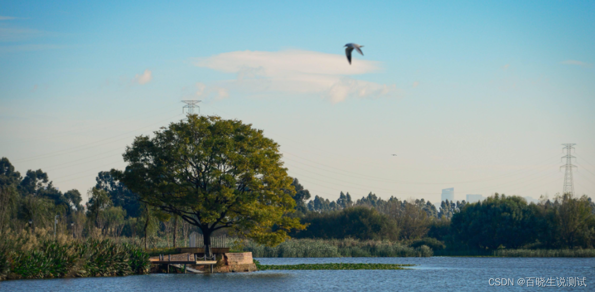 3分钟彻底搞懂Web UI自动化测试之【POM设计模式】_自动化pom模式-CSDN博客