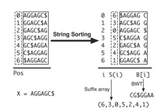 从FASTQ到BAM经历了什么？_fast 可以转bam吗-CSDN博客
