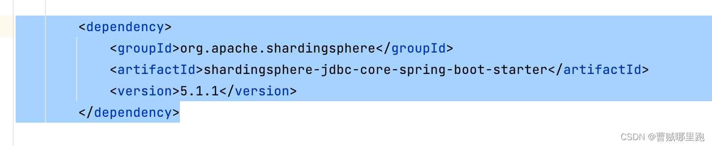 接入shardingsphere-jdbc项目启动报Failed to determine a suitable driver class_shardingsphere failed to ...