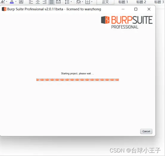 burp suite安装_burp安装csdn-CSDN博客