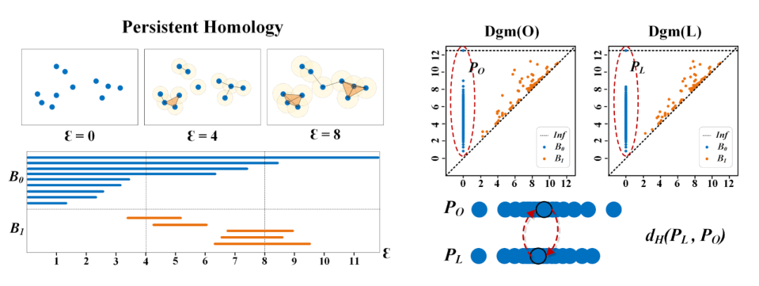 ICCV 2023 | 动态蛇形卷积（Dynamic Snake Convolution）用于管状结构分割-CSDN博客