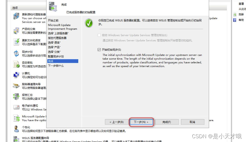 windows server服务-WSUS服务搭建_wsus补丁服务器-CSDN博客