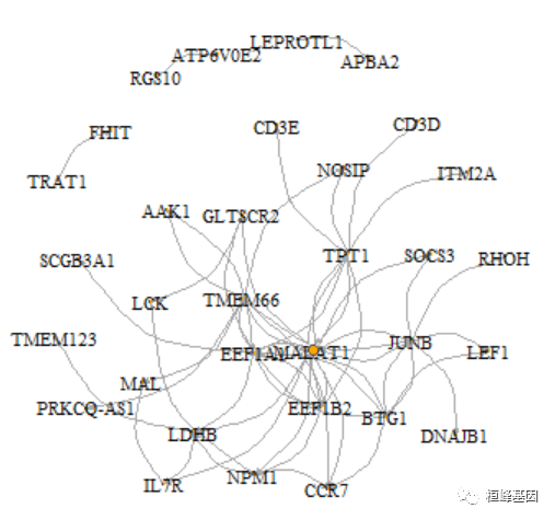RNA 26. SCI文章中基于转录组数据的基因调控网络推断 (GENIE3)-CSDN博客