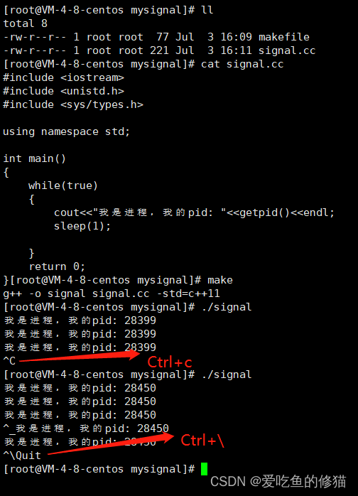 Linux——进程信号(上)_linux sigfpe-CSDN博客