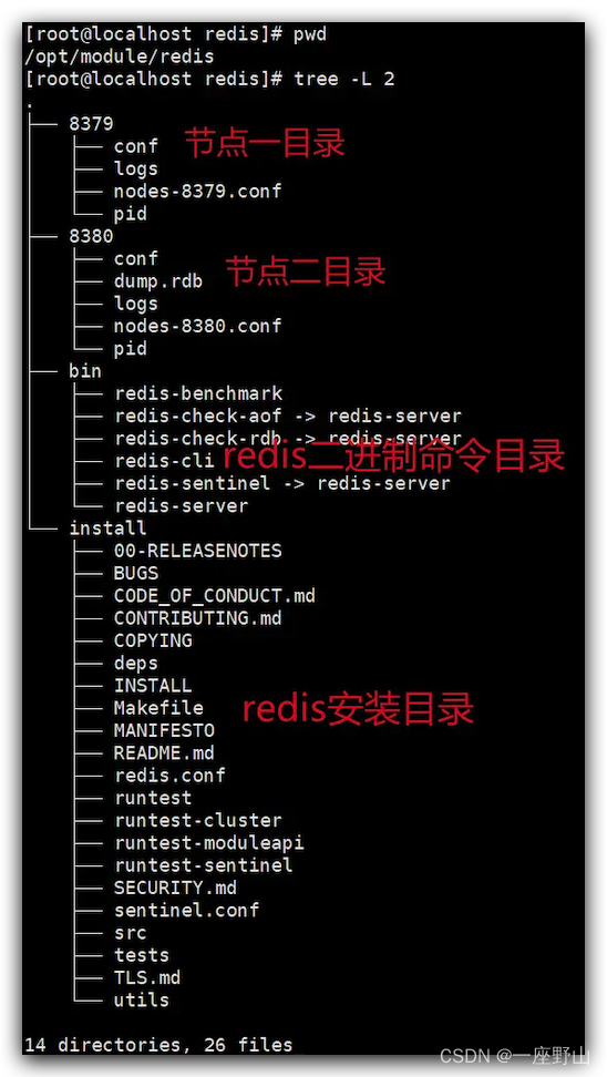 Centos 离线傻瓜式一键式部署 Redis 集群（附脚本+安装包）_centos redis安装包分享-CSDN博客