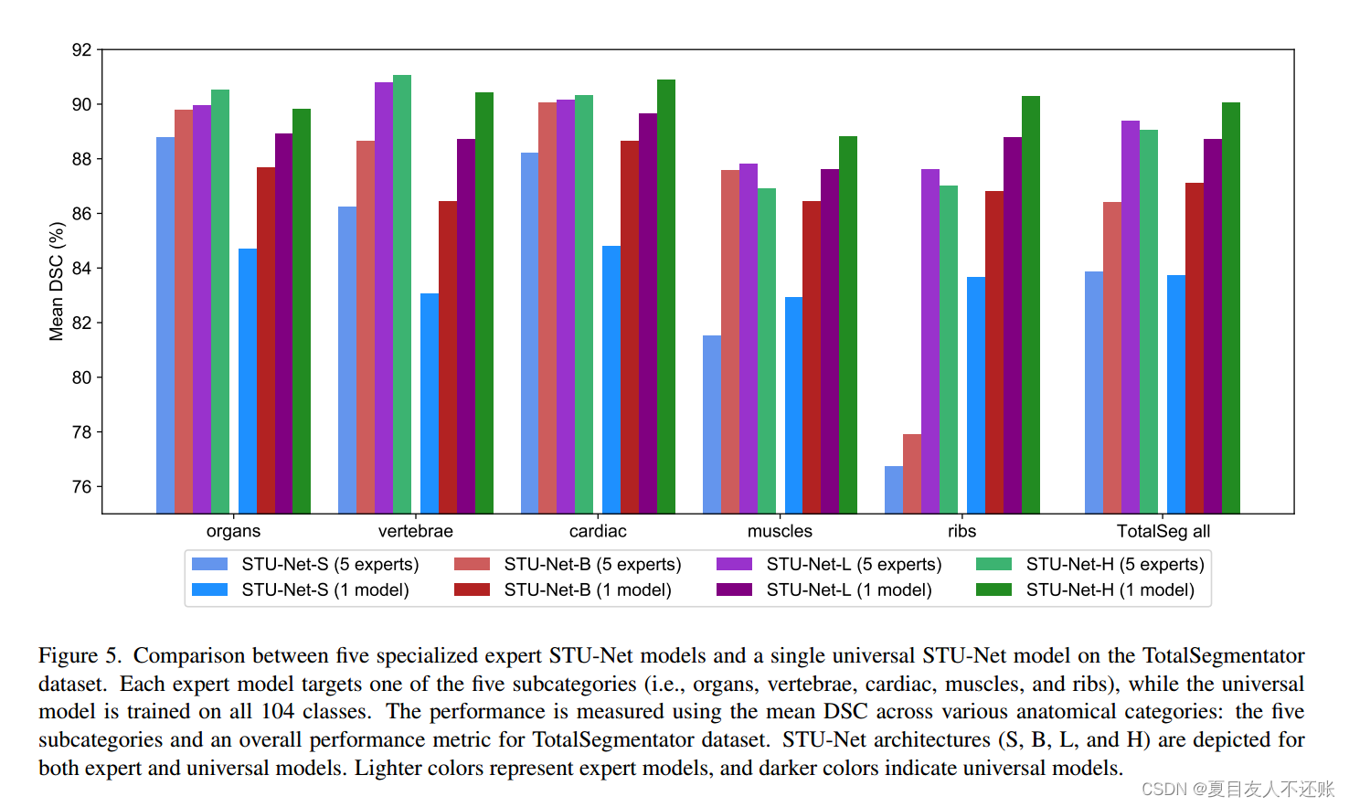 STU-Net_stunet-CSDN博客