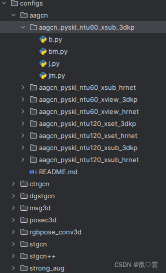 PySKL框架下的模型配置与训练过程详解,-CSDN博客