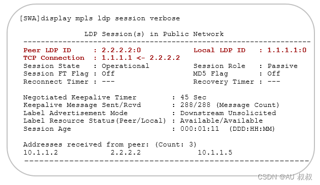 1.4 LDP会话配置_ldp会话建立配置-CSDN博客