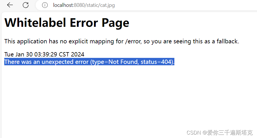 静态资源路径访问不到的问题，Whitelabel Error Page,There was an unexpected error,解决bug ...