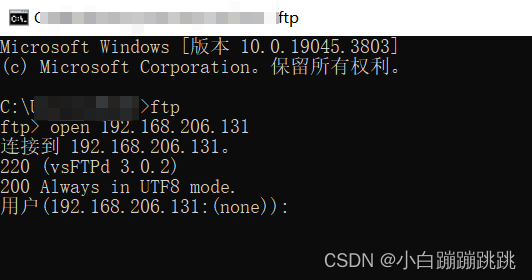 简单FTP客户端软件开发——搭建FTP服务器_ftp服务器客户端 csdn-CSDN博客