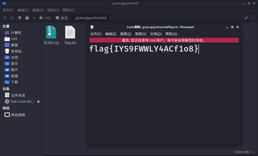 中职网络安全—隐藏信息探索_kali strings-CSDN博客