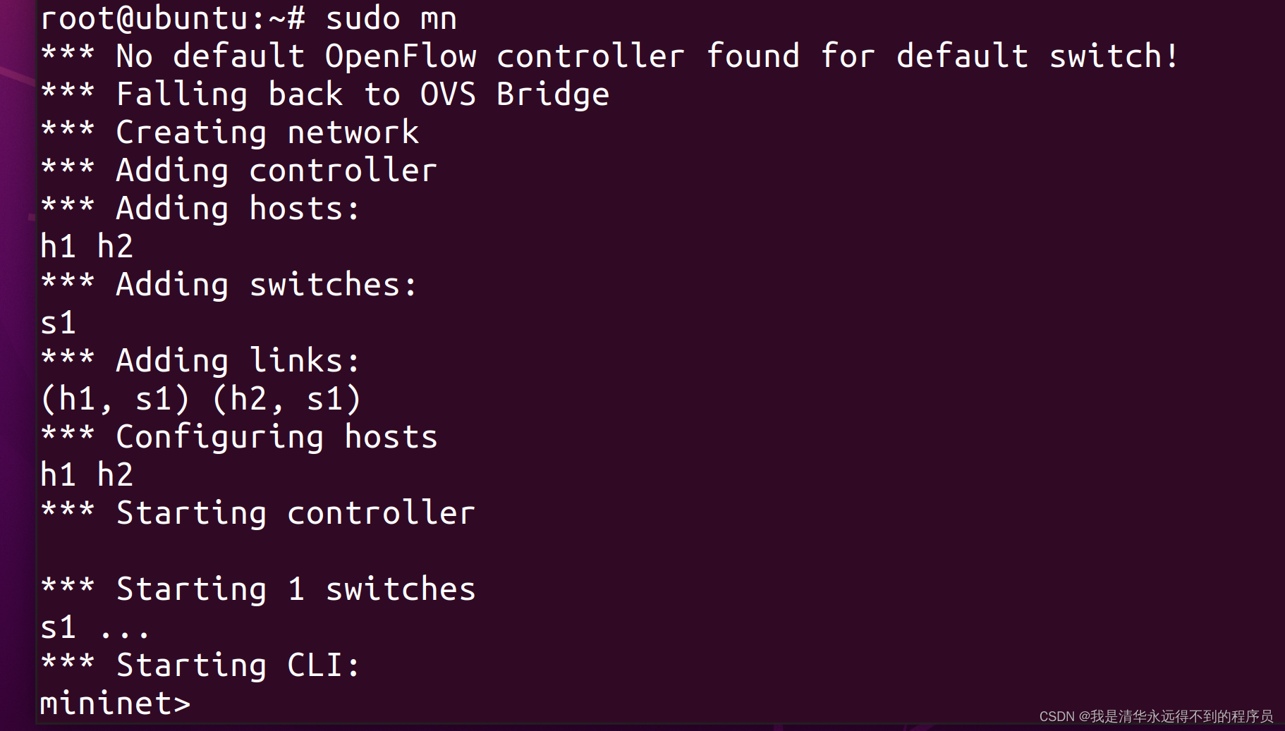 ubuntu安装mininet&ryu_ubuntu下ryu的更新版本-CSDN博客