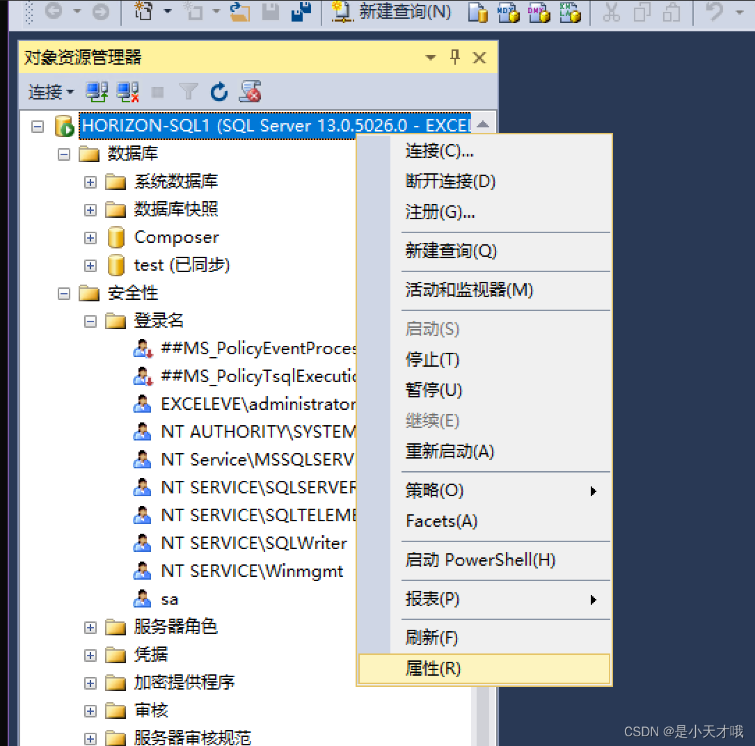 [28000][Microsoft][SQL server native client 10.0][SQL server]用户‘sa’登录失败。(18456)-CSDN博客