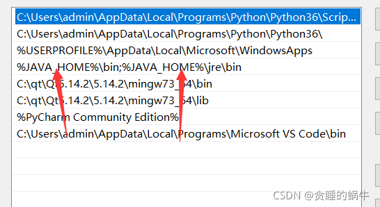 vscode报错：The environment variable ‘Path‘ seems to have some paths containing the ‘“‘ character ...