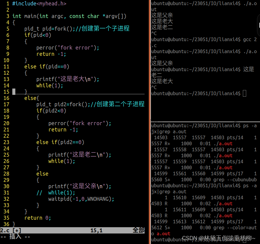 IO-day5-进程、线程-CSDN博客