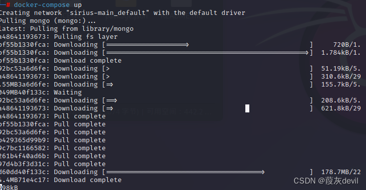 Sirius漏扫安装_siriusscan安装教程-CSDN博客