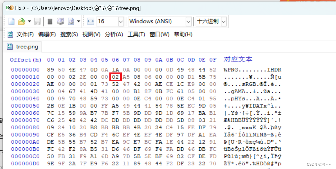 中职网络安全—隐藏信息探索_kali strings-CSDN博客