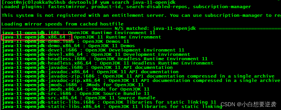 Linux下安装java11（亲测）_linux安装java11-CSDN博客
