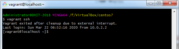 Vagrant创建CentOS并部署安装Docker（2020实操图解）_centos vagrant docker-CSDN博客