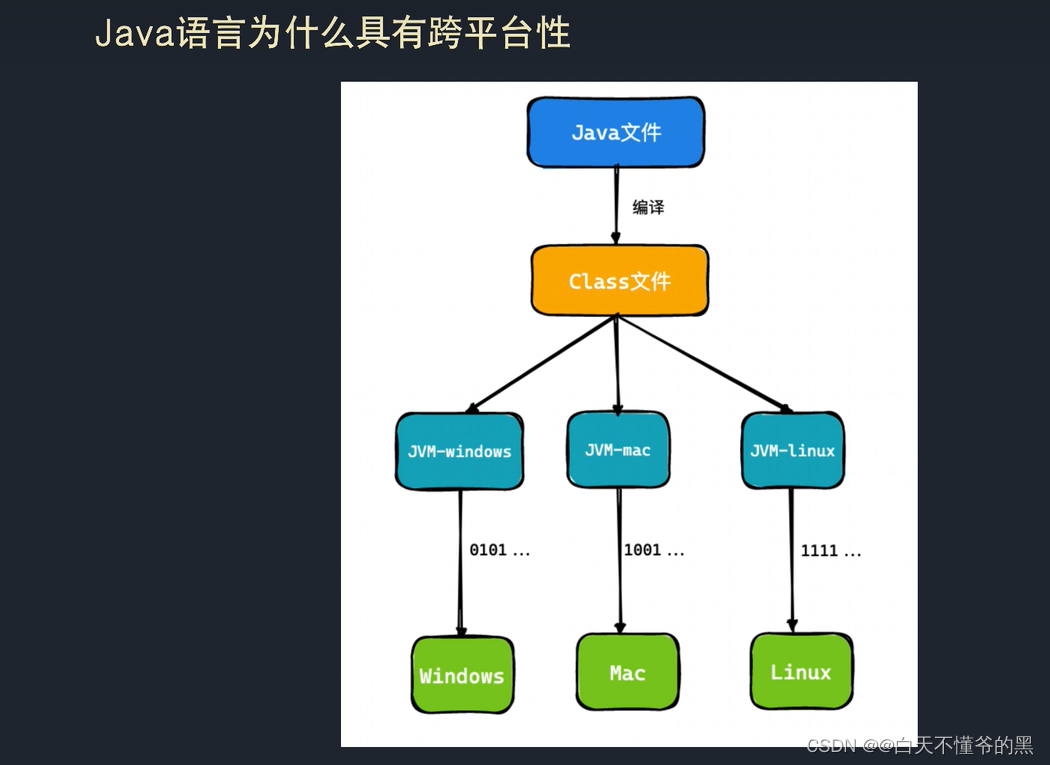 什么是Java跨平台性?原理是什么_java语言跨平台性-CSDN博客
