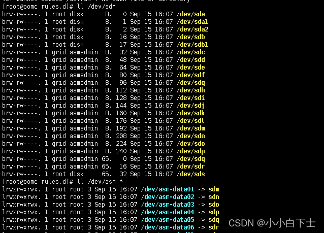 ASM+udev+oracle11gR2+rhel7——2.udev配置磁盘_oracle udev和asm作用-CSDN博客