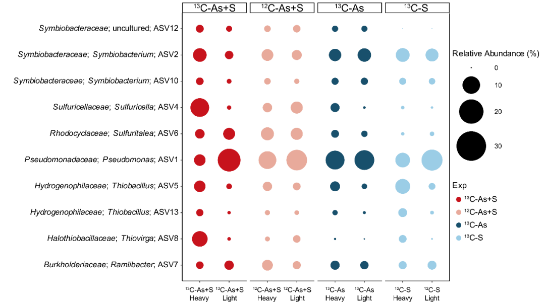ISME | 矿山修复新视角——微生物介导的硫氧化耦联砷还原过程-CSDN博客