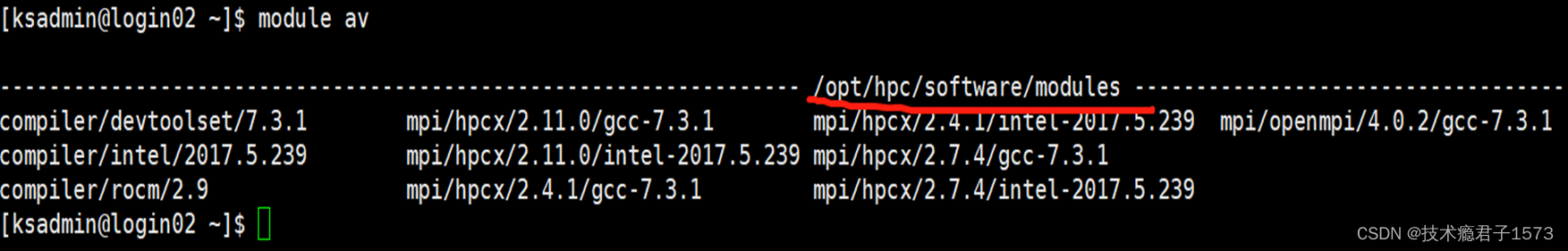 Linux基础 Module命令使用（理论实战）linux Module Csdn博客