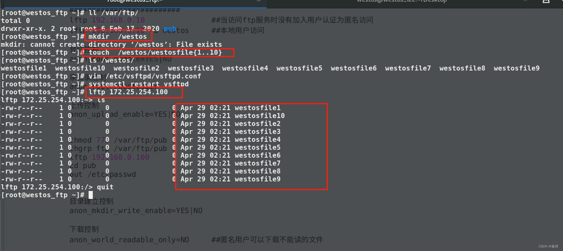 FTP服务器配置与管理：Vsftpd详解及虚拟用户设置-CSDN博客