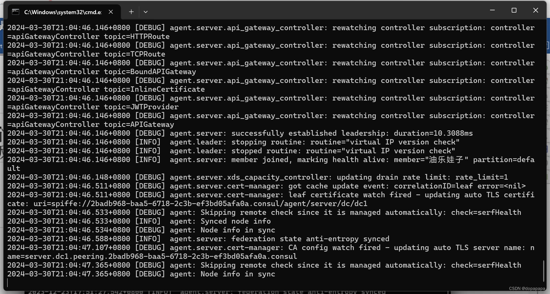 SpringCloud学习(1)-consul_springcloud2024.0.1de consul镜像下载-CSDN博客