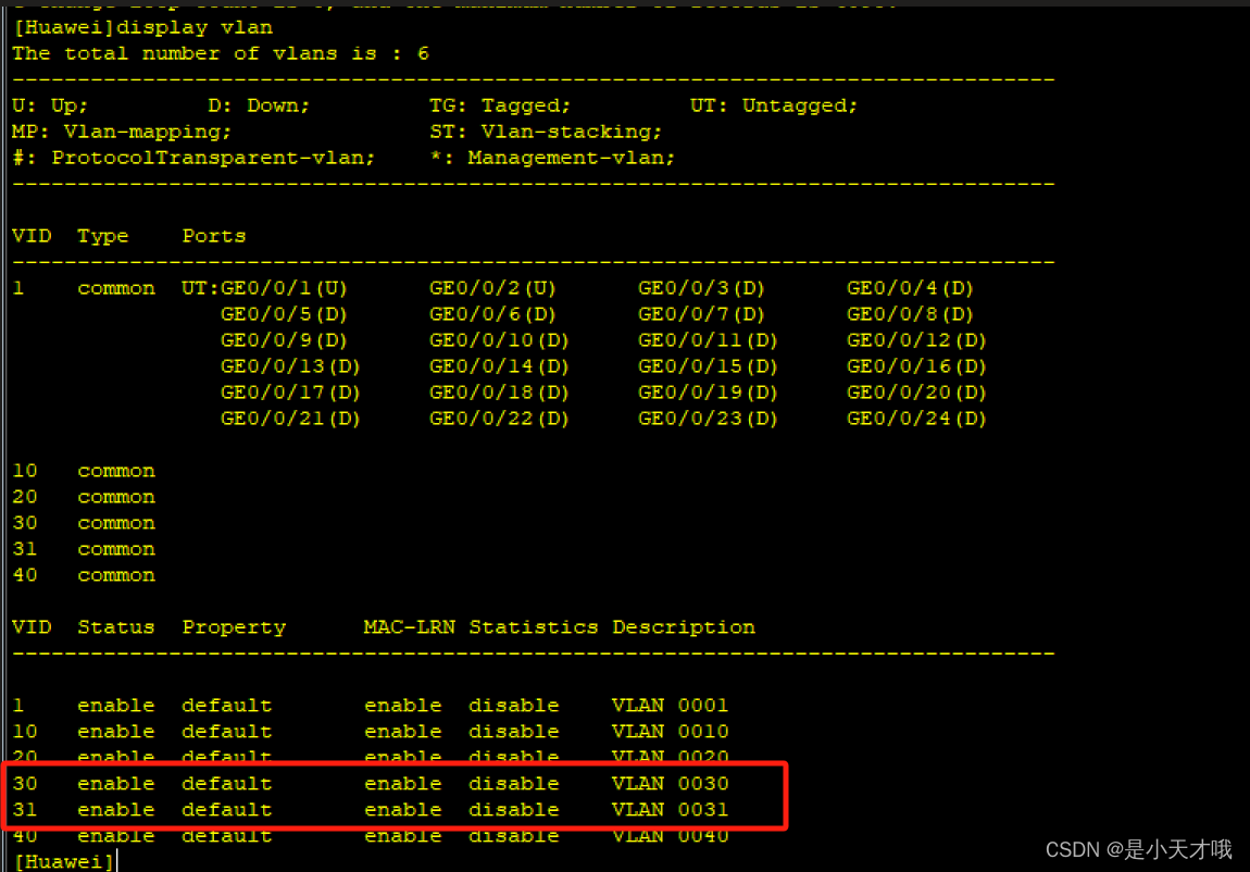 VLAN-access练习-CSDN博客