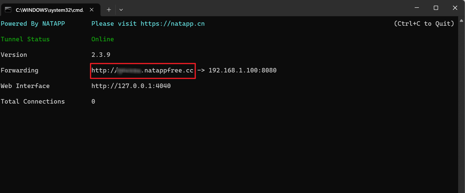 【无公网IP内网穿透】基于NATAPP搭建Web站点_natapp配置-CSDN博客