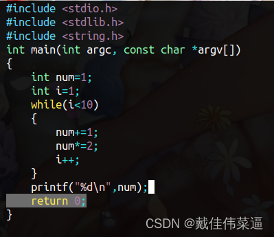 23062C语言09-CSDN博客