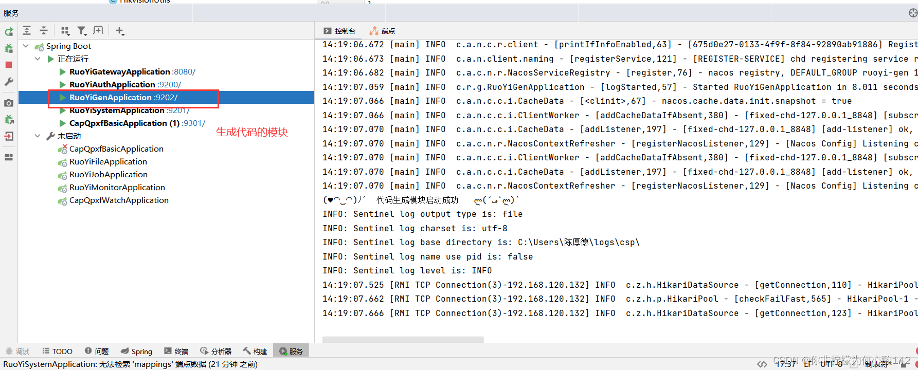 使用ruoyi进行生成代码_ruoyicloud代码生成-CSDN博客