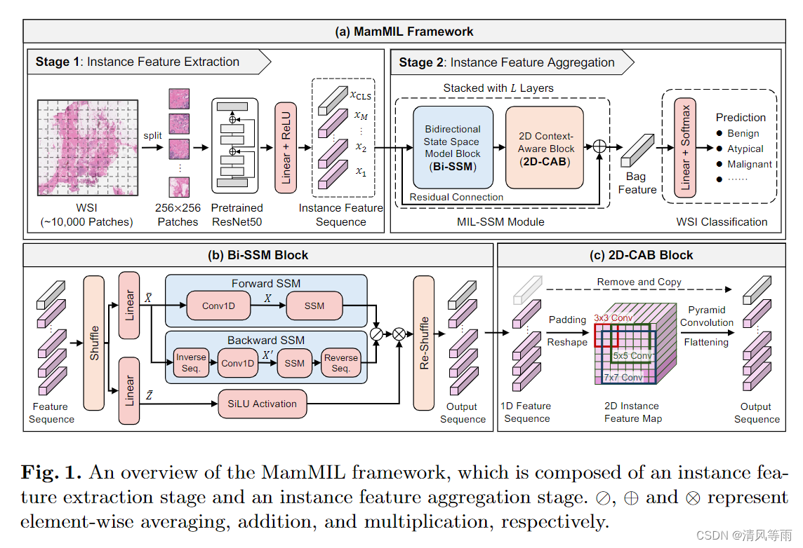 论文阅读:MamMIL: Multiple Instance Learning for Whole Slide Images with State Space Models-CSDN博客