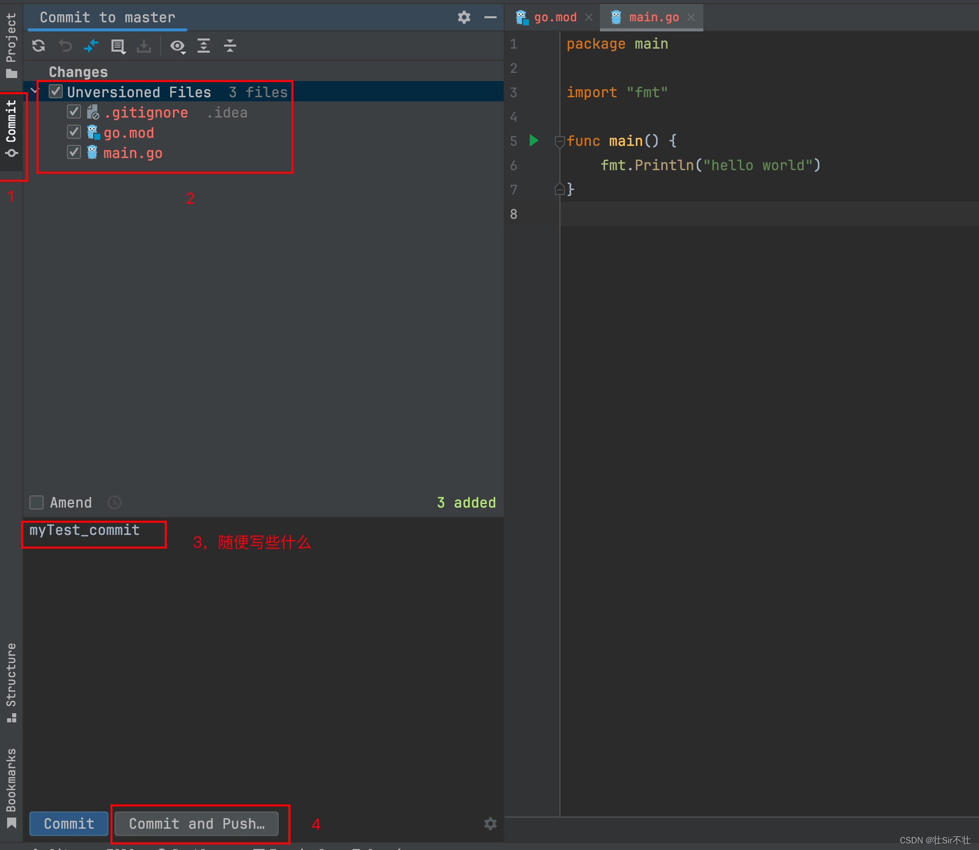 Mac goland上传项目到gitee_goland gitee-CSDN博客